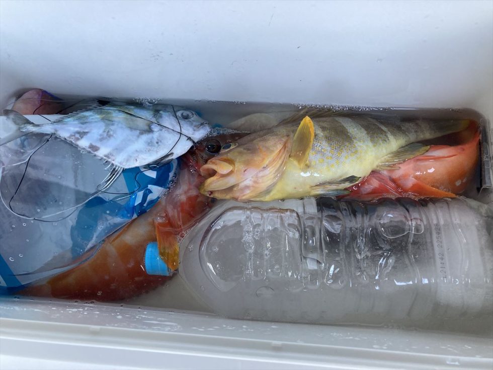 海のボート釣り オーナー様釣果 - 新艇中古艇・マリンエンジン販売 フィッシングボートプロショップ ロッキーマリン